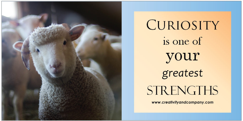 Why you need more curiosity - Creativity and Company